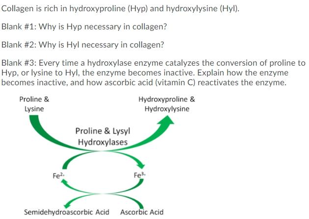 Solved Collagen is rich in hydroxyproline (Hyp) and | Chegg.com