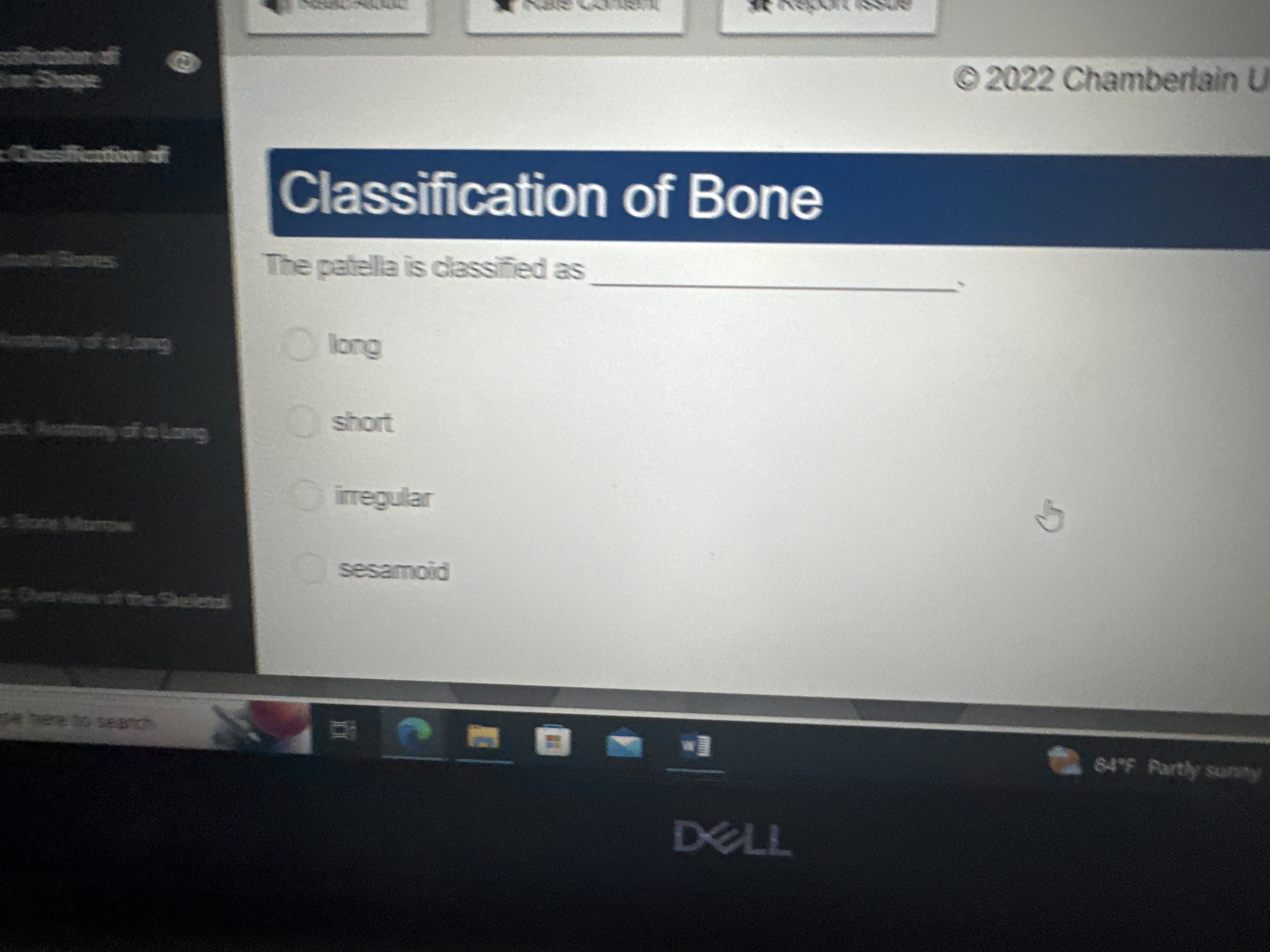 Solved Classification of BoneThe palella is classified | Chegg.com