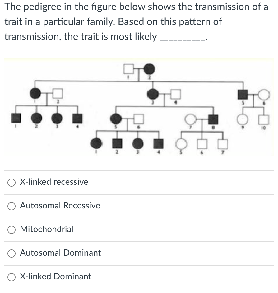 Solved The pedigree in the figure below shows the | Chegg.com