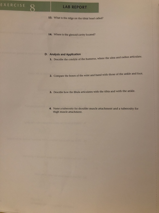 Solved 8 EXERCISE Date LAB REPORT The Appendicular Skeleton | Chegg.com