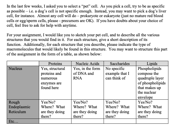 Solved In the last few weeks, I asked you to select a "pet" | Chegg.com