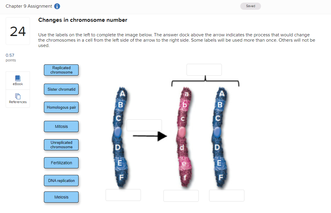 Solved Changes in chromosome number Use the labels on the | Chegg.com