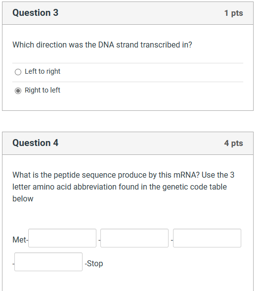 Solved Use the following DNA strand in your responses to the | Chegg.com