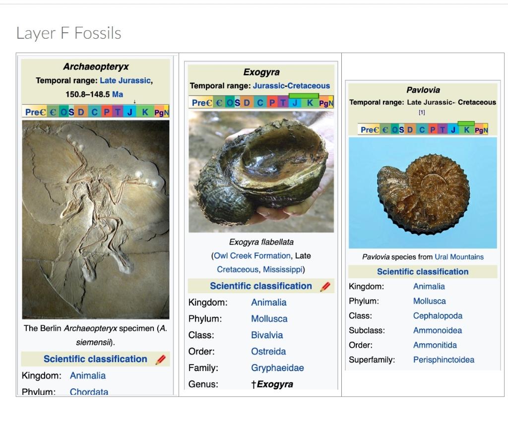 Solved Layer F FossilsLayer G Fossils Life restorations of a | Chegg.com