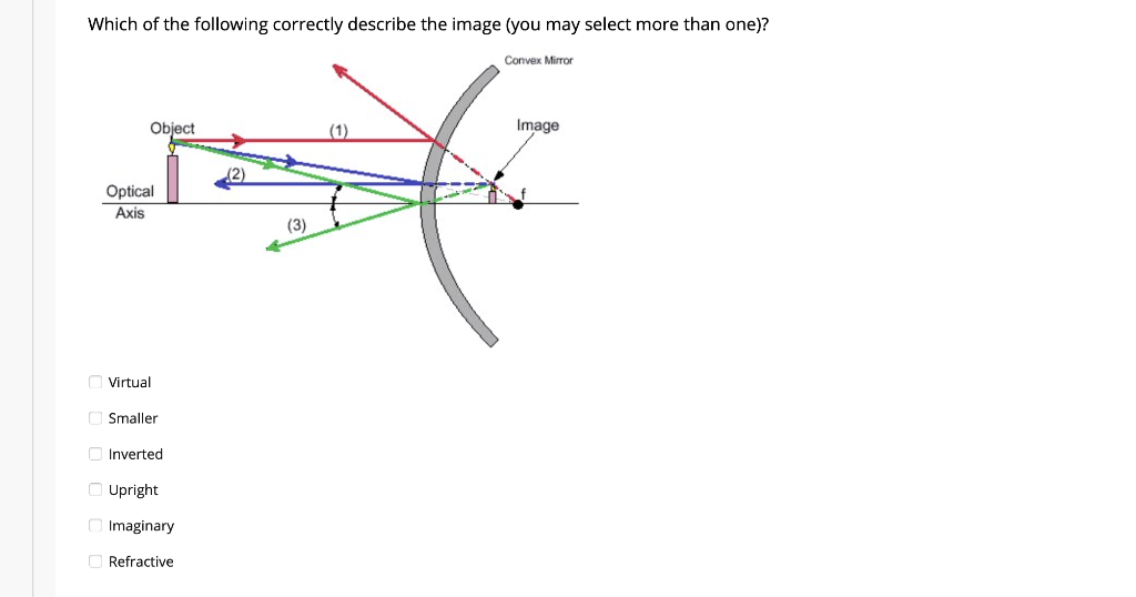 Solved Which of the following correctly describe the image | Chegg.com