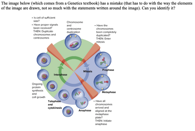 Solved The image below (which comes from a Genetics | Chegg.com