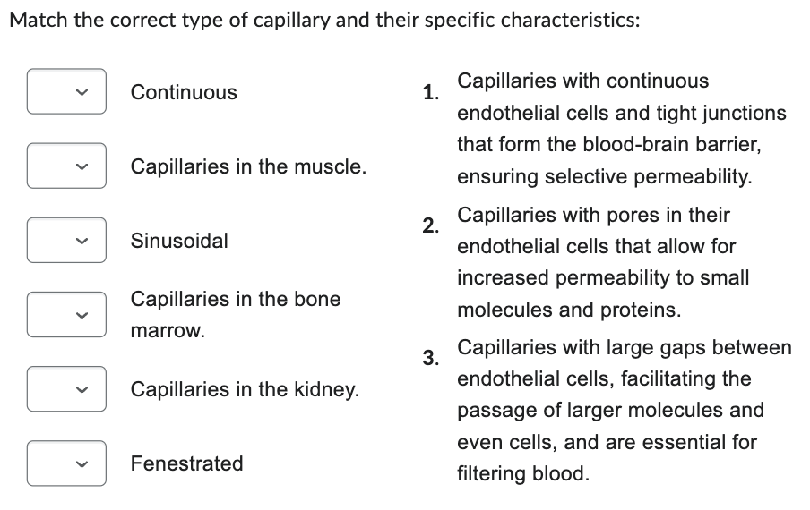 Solved Match the correct type of capillary and their | Chegg.com