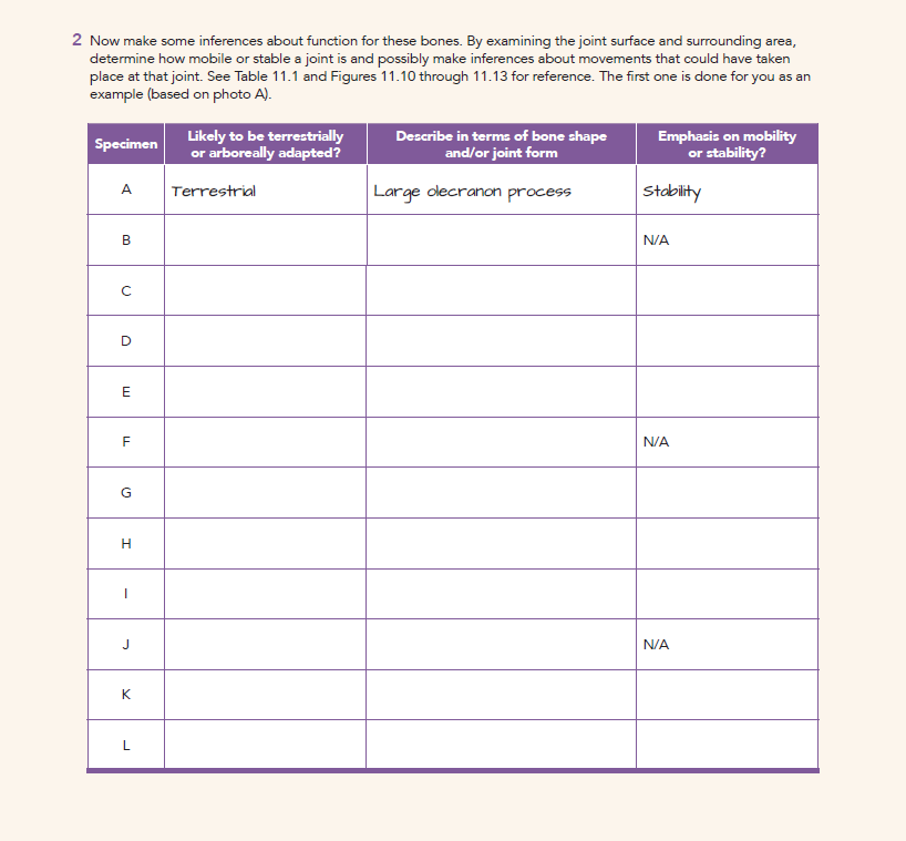 Solved LAB EXERCISE 11.2 continued Name pp. P-092) 2 Now | Chegg.com