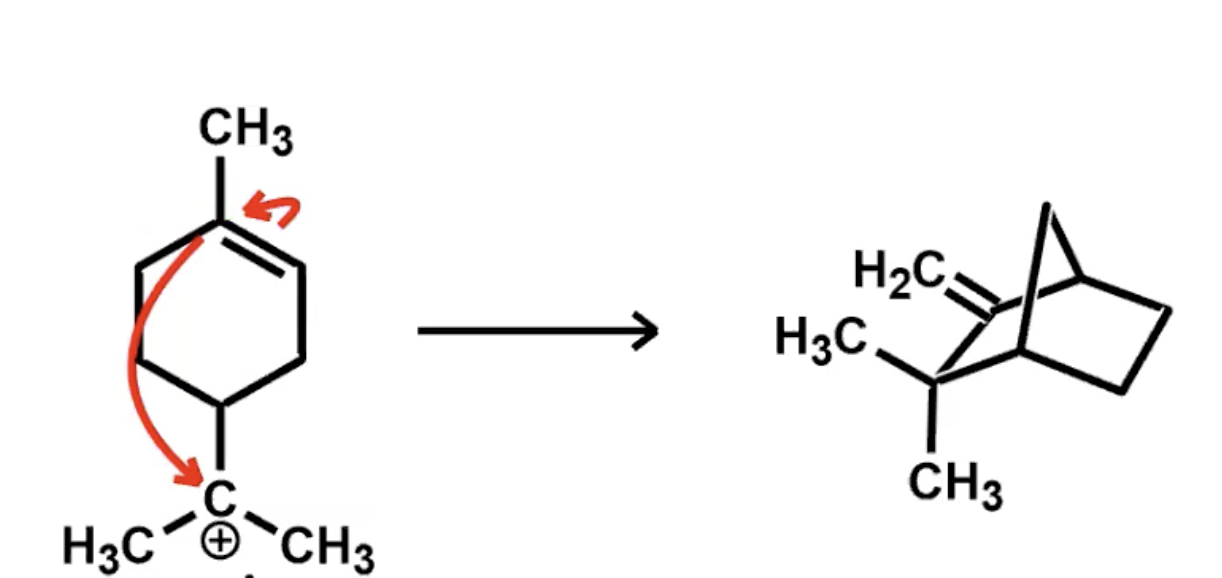 Solved CH3 H2C. H3C. CH3 H3C CH3 | Chegg.com
