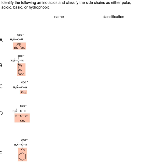 Solved Identify the following amino acids and classify the | Chegg.com