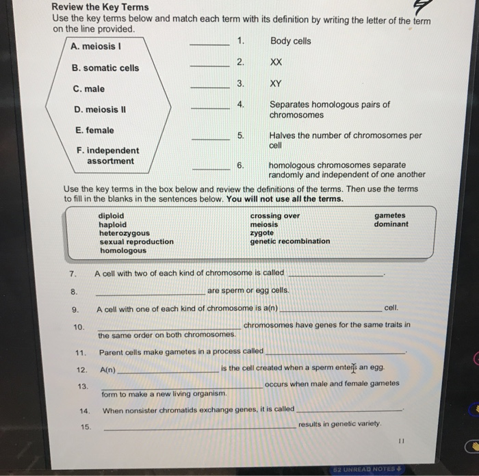 Solved Review the Key Terms Use the key terms below and | Chegg.com