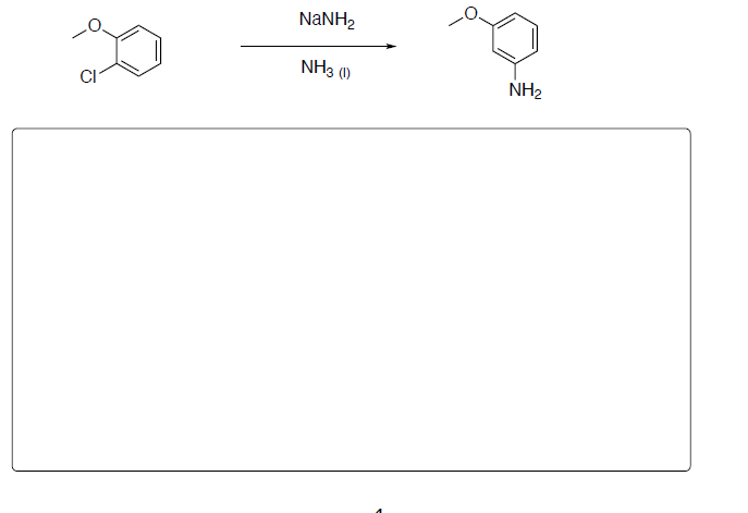 Solved NaNH2 NH3 (1) NH2 | Chegg.com