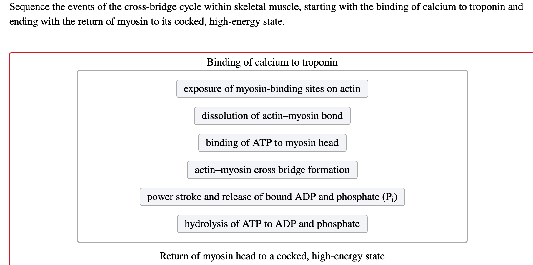 Solved Sequence the events of the cross-bridge cycle within | Chegg.com