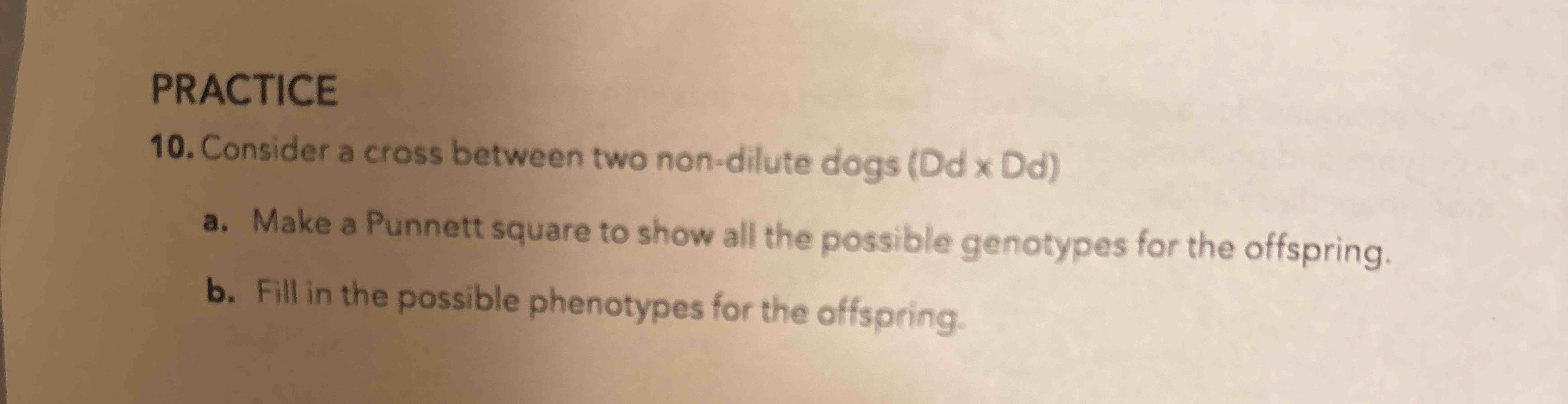Solved PRACTICE10. ﻿Consider a cross between two non-dilute | Chegg.com