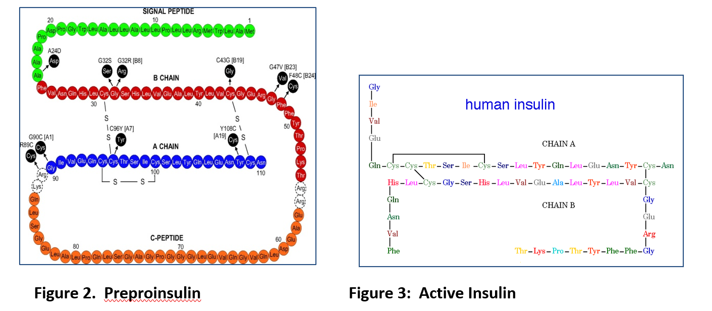 Solved giveartesicslyqlenyen giveac sic stylenyen sec61 | Chegg.com