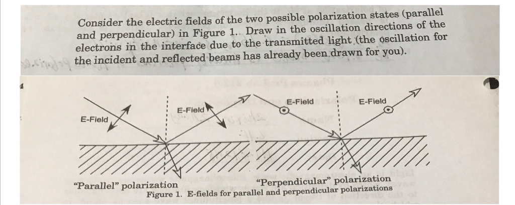 Solved Consider the electric fields of the two possible | Chegg.com