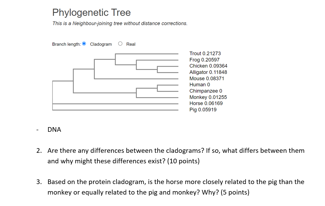 Paste pictures of both your cladograms (Protein and | Chegg.com