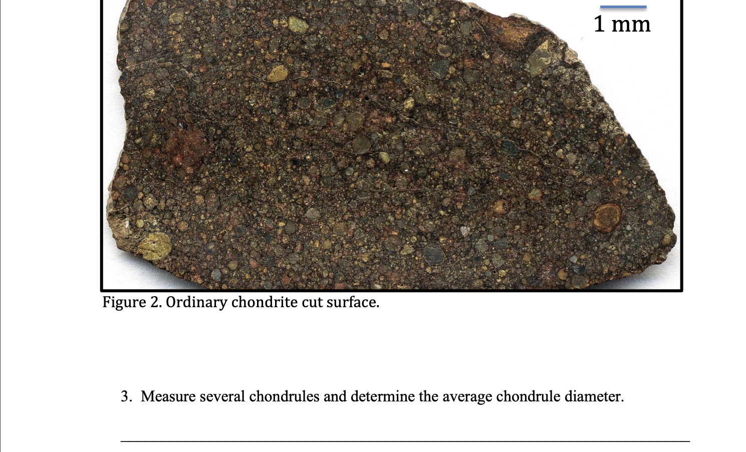 Solved Ordinary Chondrite 1. Look at the uncut ordinary | Chegg.com