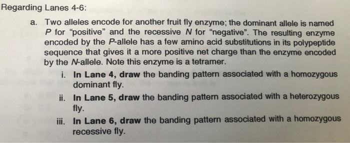 Lane 1 Lane 3 Lane 4 Lane 5 1 An experiment was | Chegg.com