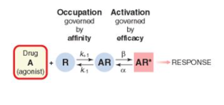 Solved The two-state model assumes that the tendency for the | Chegg.com