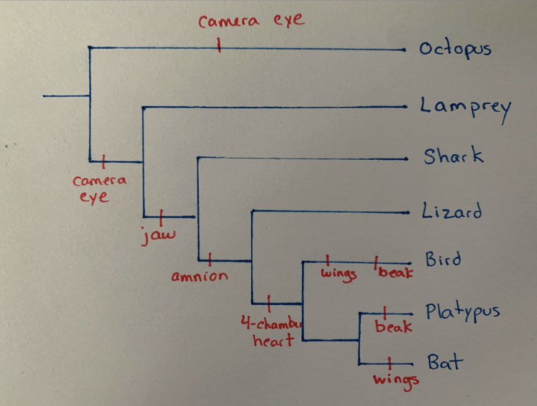 Solved Redraw the tree in a way that shows the same | Chegg.com