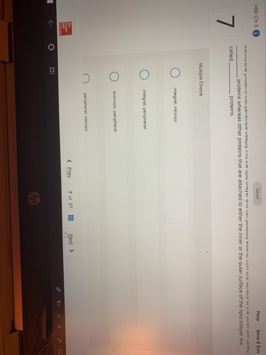 Solved Help Seve&Exit proteins whereas other proteins that | Chegg.com