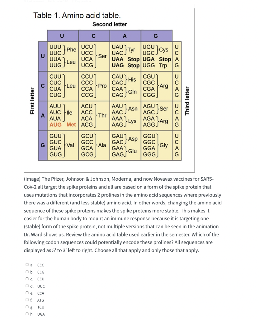 Solved Table 1. Amino acid table. Second letter (image) The | Chegg.com