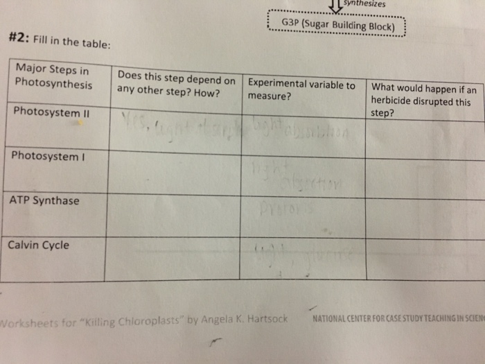 Solved ynthesizes 63P (Sugar Building Block) . #2: Fill in | Chegg.com