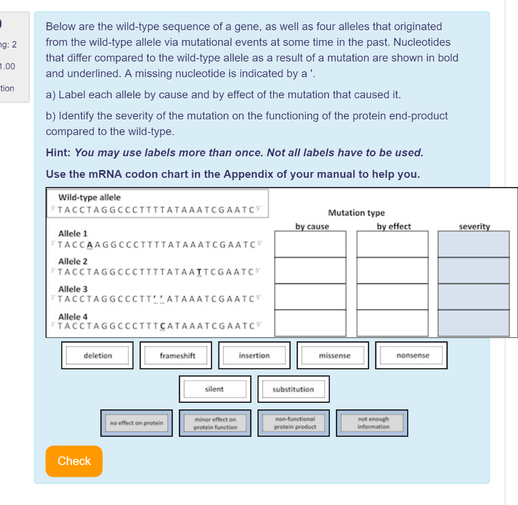Solved Below are the wild-type sequence of a gene, as well | Chegg.com