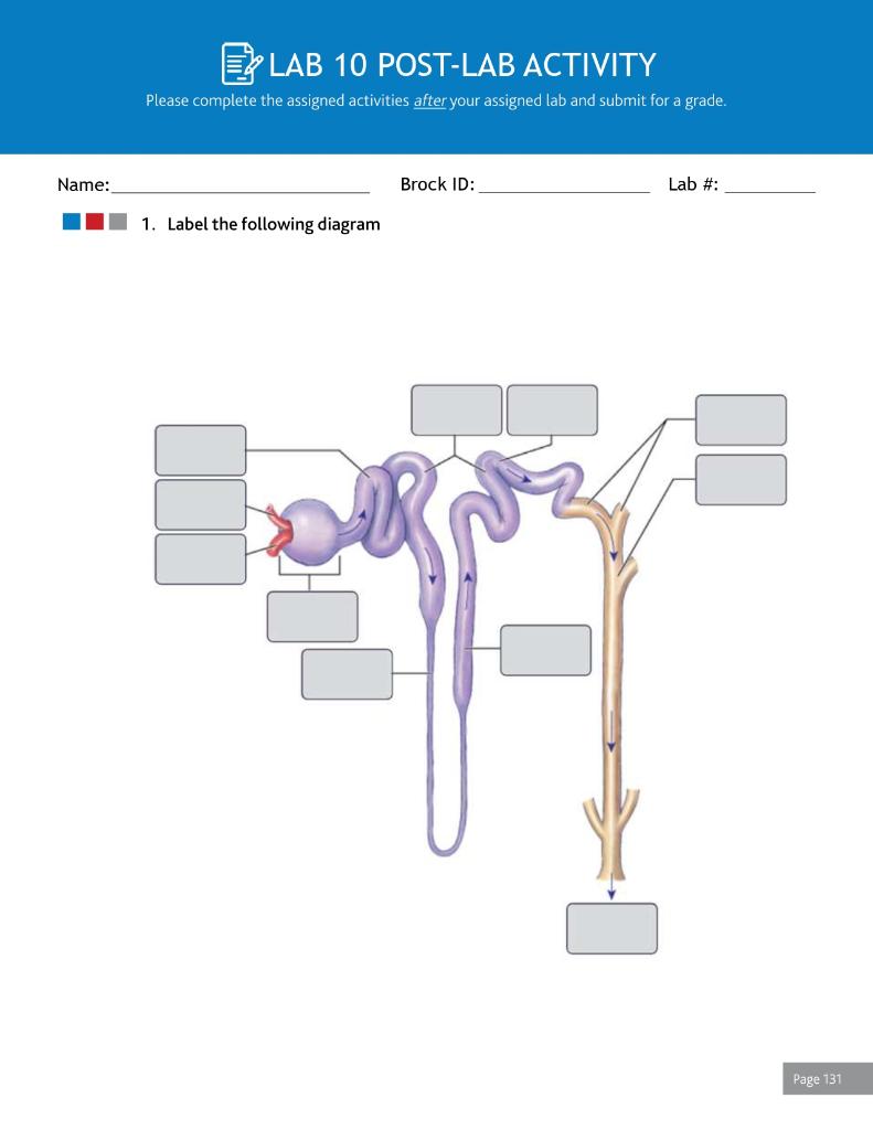 Solved ELAB 10 POST-LAB ACTIVITY Please complete the | Chegg.com