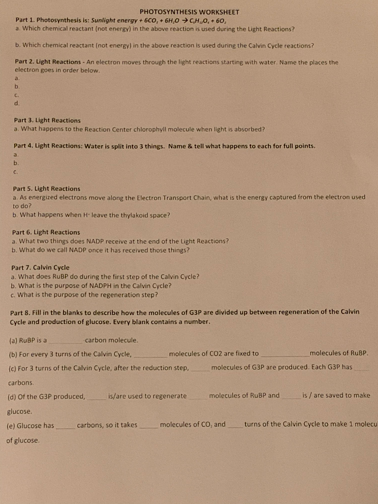 Solved PHOTOSYNTHESIS WORKSHEET Part 1. Photosynthesis is: | Chegg.com