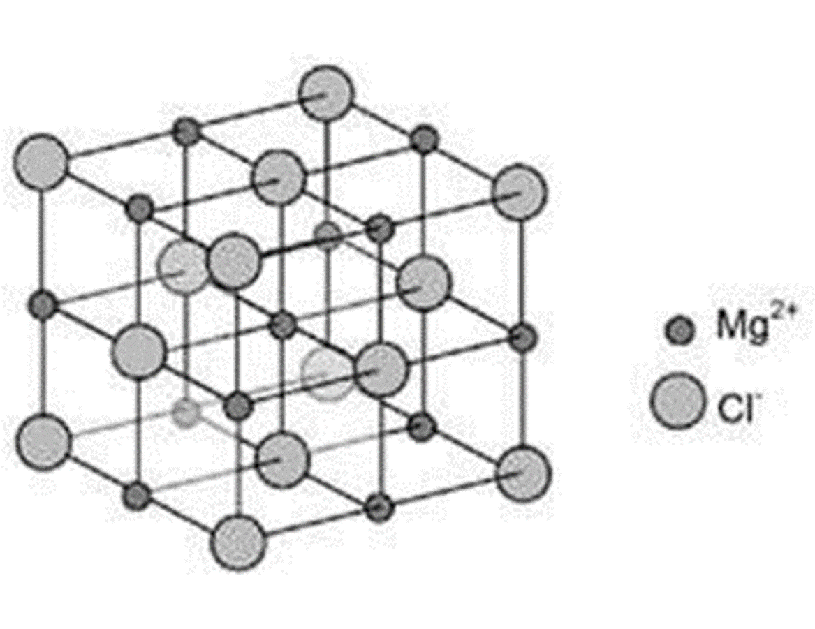 Solved (1) Mg2+ Cl∗ | Chegg.com