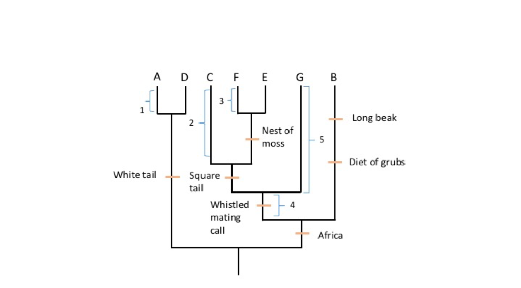 Solved 3. Consider the DNA sequence data matrix below and | Chegg.com