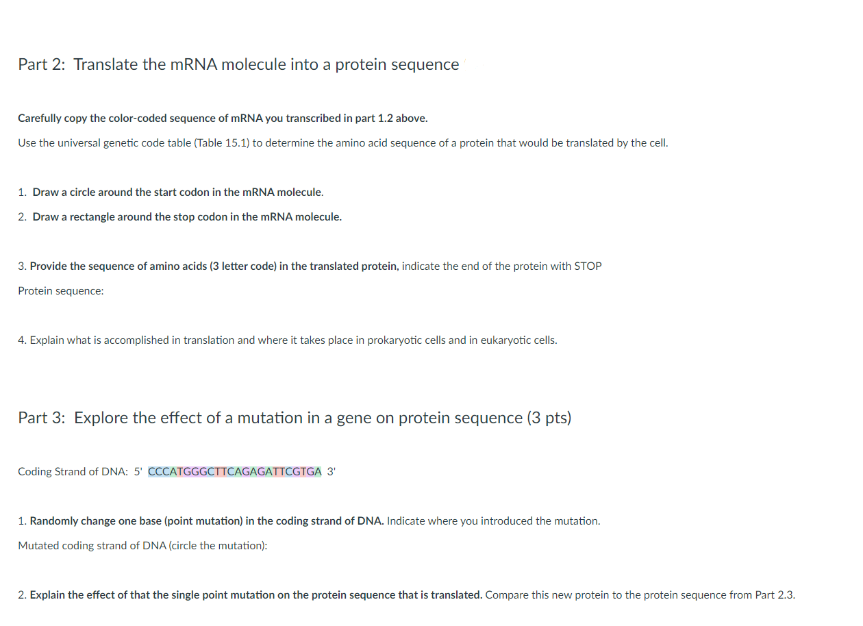 Solved Part 1: Transcribe a small fragment of DNA Start with | Chegg.com