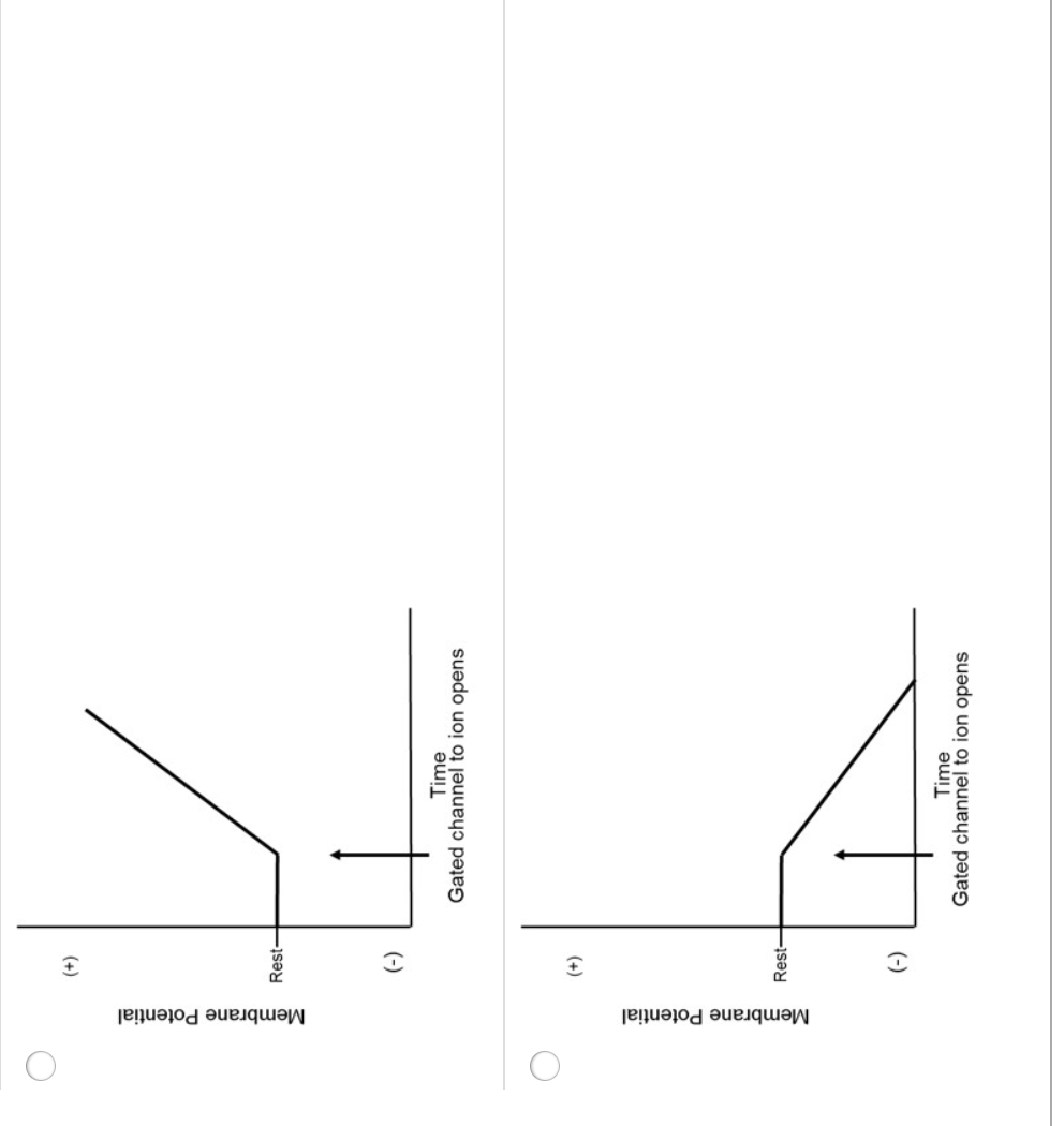 Solved A) Which of the below graphs best shows the change in | Chegg.com