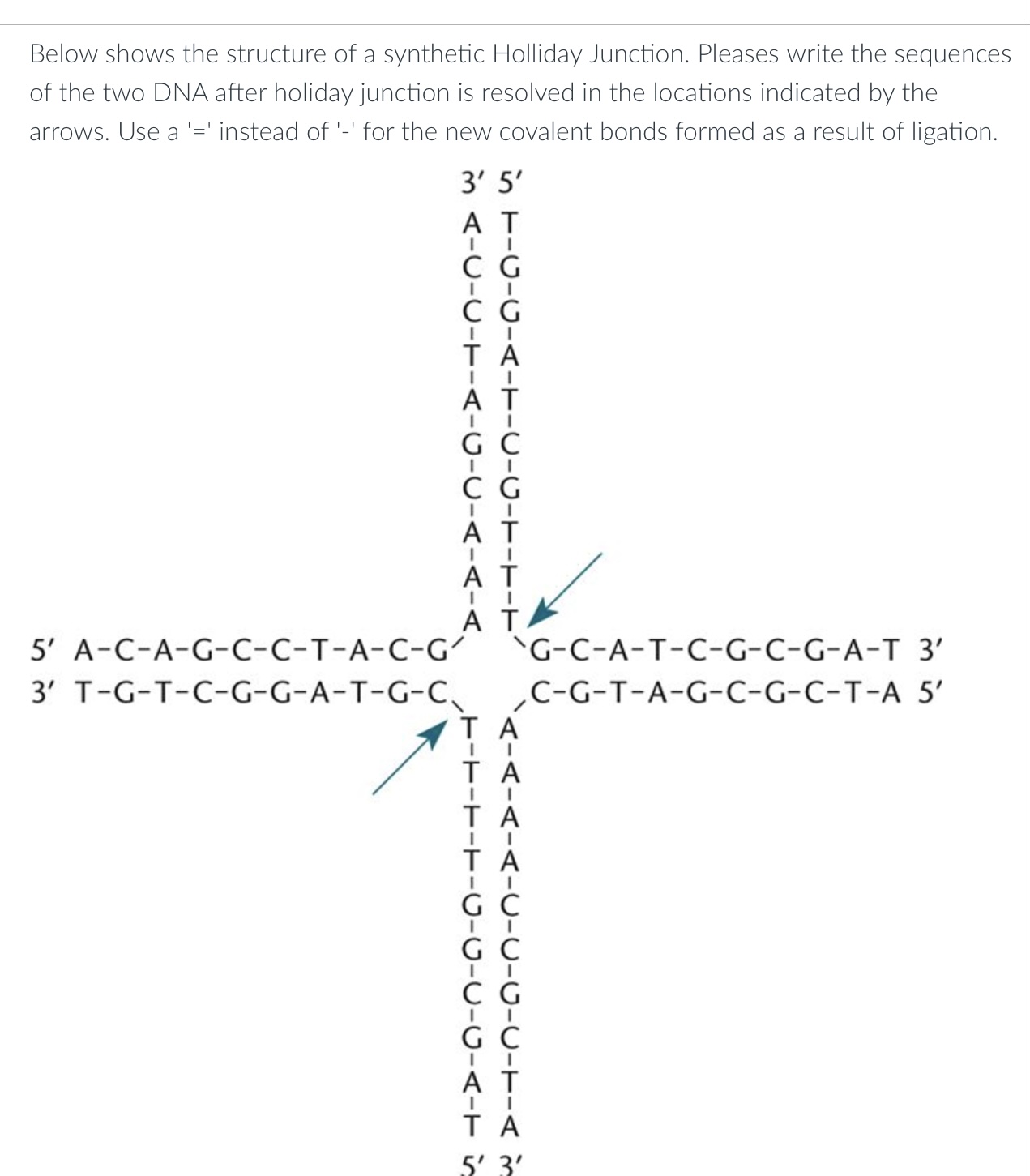 Solved Below shows the structure of a synthetic Holliday | Chegg.com