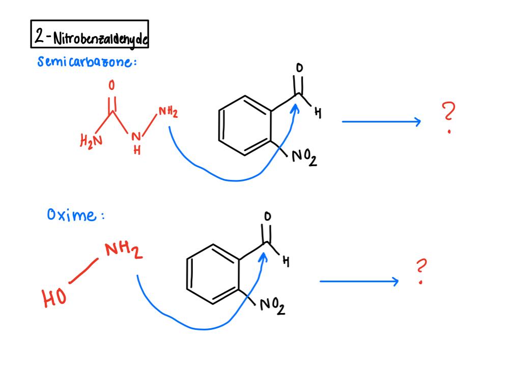 Solved 2- Nitrobenzaldehyde Semi carbazone: 0 „NH₂ H 2. H₂N | Chegg.com