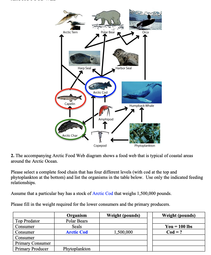 Solved 2. The accompanying Arctic Food Web diagram shows a | Chegg.com