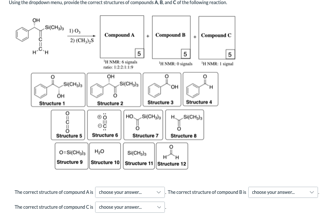 Solved Using the dropdown menu, provide the correct | Chegg.com
