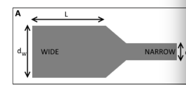 Solved WIDE NARROW Look at figure 6.1A in the lab manual. | Chegg.com