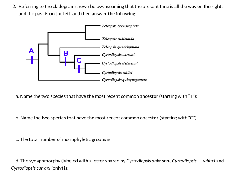 Solved 2. Referring to the cladogram shown below, assuming | Chegg.com