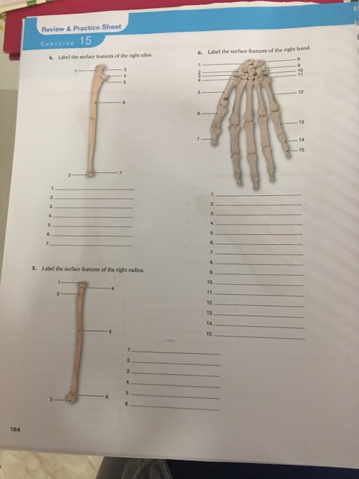 Solved Review And Practice Sheet 15 6 Label The Surface