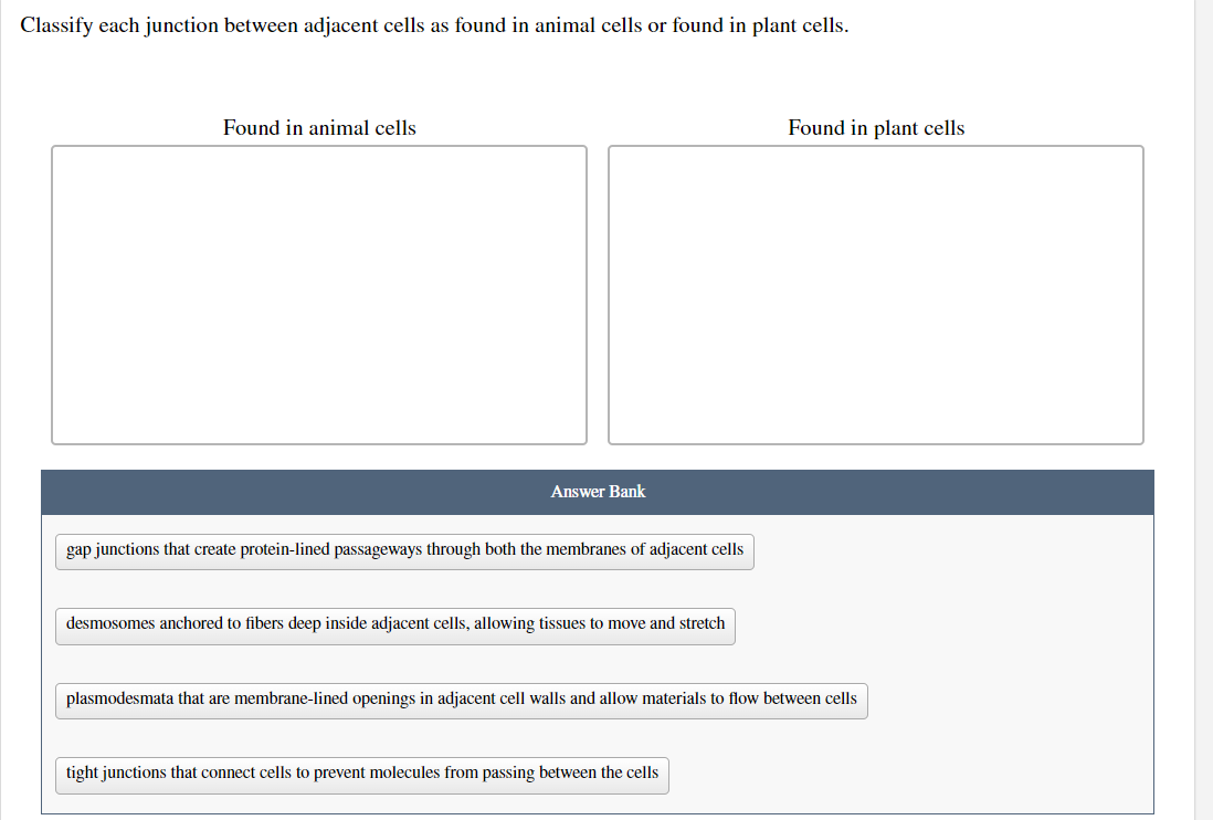 Solved Classify each junction between adjacent cells as | Chegg.com