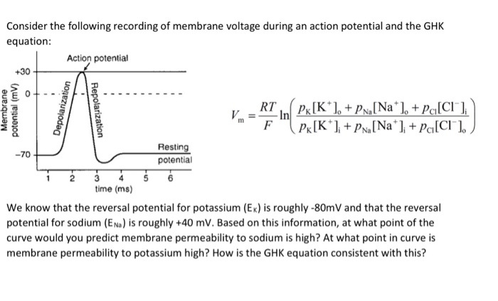 Solved Consider the following recording of membrane voltage | Chegg.com