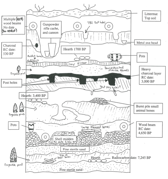 Describe each layer of the archaeological profile | Chegg.com