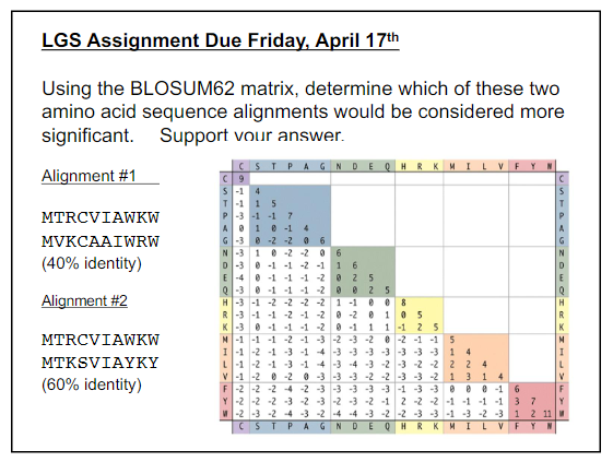 Solved What is the score for alignment 1? What is the score | Chegg.com
