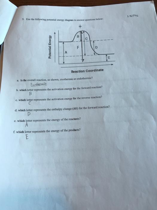 Potential Energy Diagram Worksheet