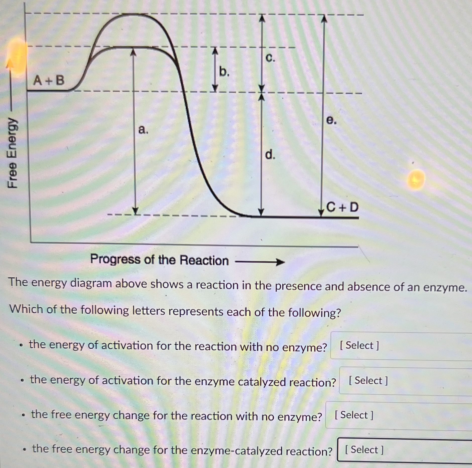 Solved The energy diagram above shows a reaction in the | Chegg.com