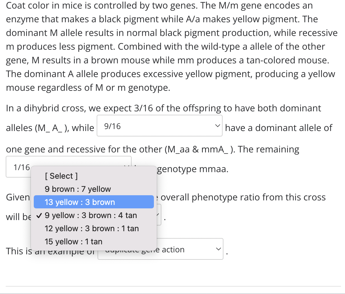 Coat color in mice is controlled by two genes. The | Chegg.com