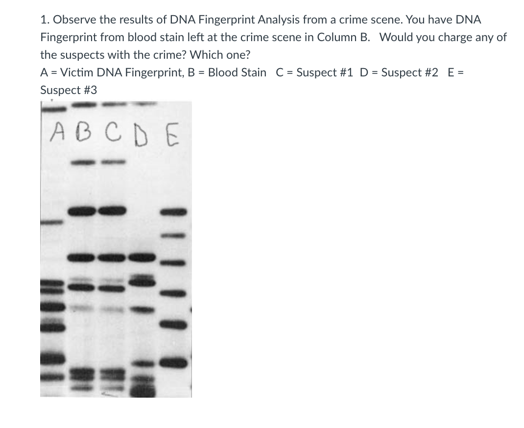 Tools of Genetics Part 5: DNA Fingerprinting (5 Pt) | Chegg.com